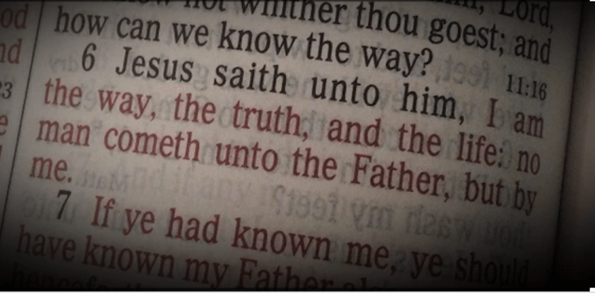 Stories From a Better World – Whole Bottle Wine Reviews by Certified ...